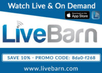 Skating Rink - World Ice Arena, Queens NY